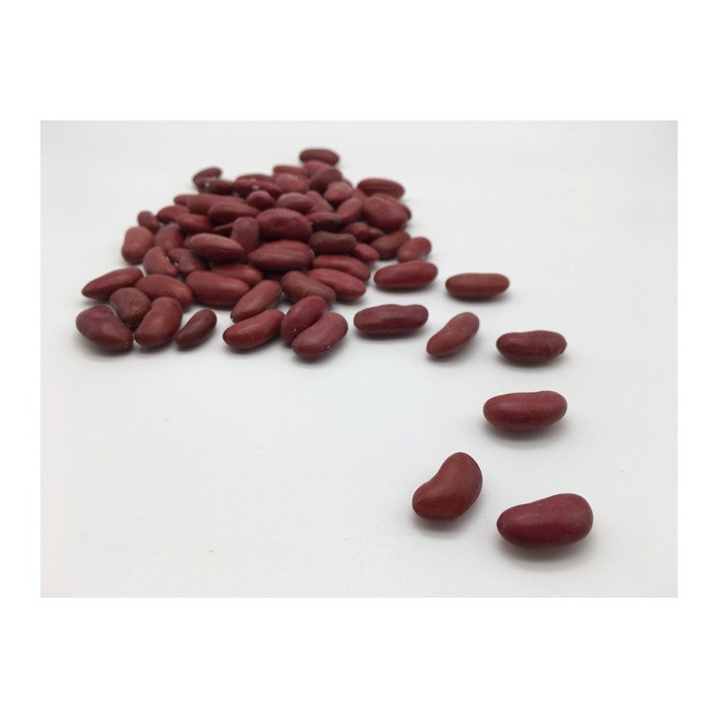 Haricots rouges bio - Origine France