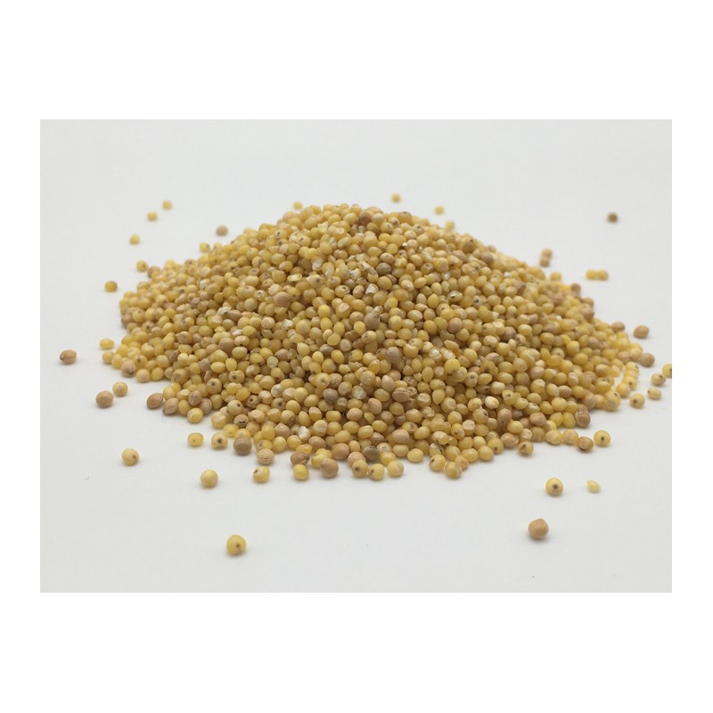 Millet décortiqué bio - Origine France